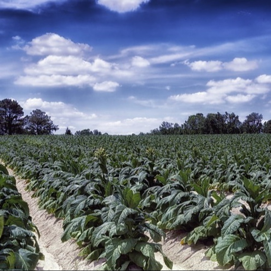 Kompoz - Music Collaboration Platform