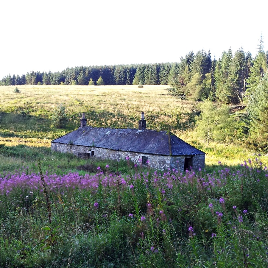 Kompoz - Music Collaboration Platform